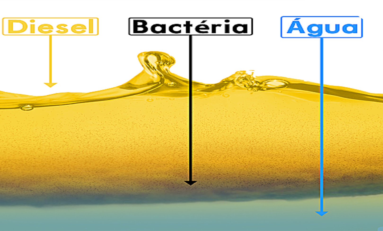 ¿Sabías esto sobre el combustible contaminado?